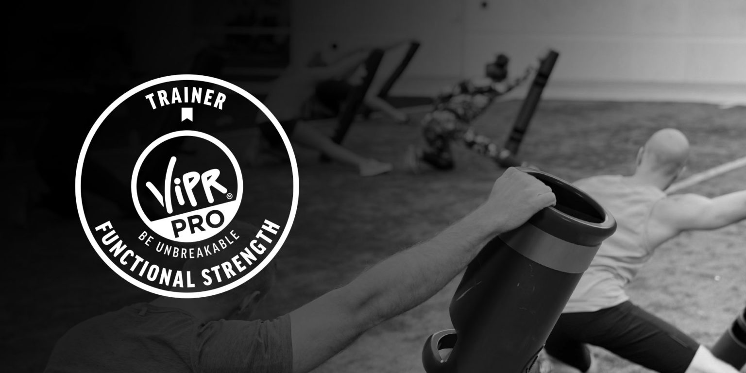 ViPR PRO® Level 1: Functional Strength – Institute of Motion