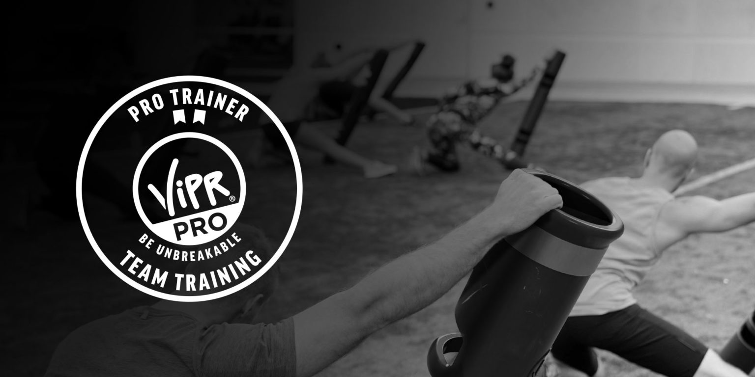ViPR PRO® Level 2: Team Training – Part 1 – Institute of Motion
